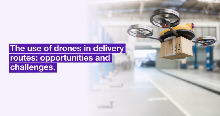 Drones and delivery routes: a future of innovation and challenges